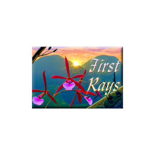 First Rays LLC